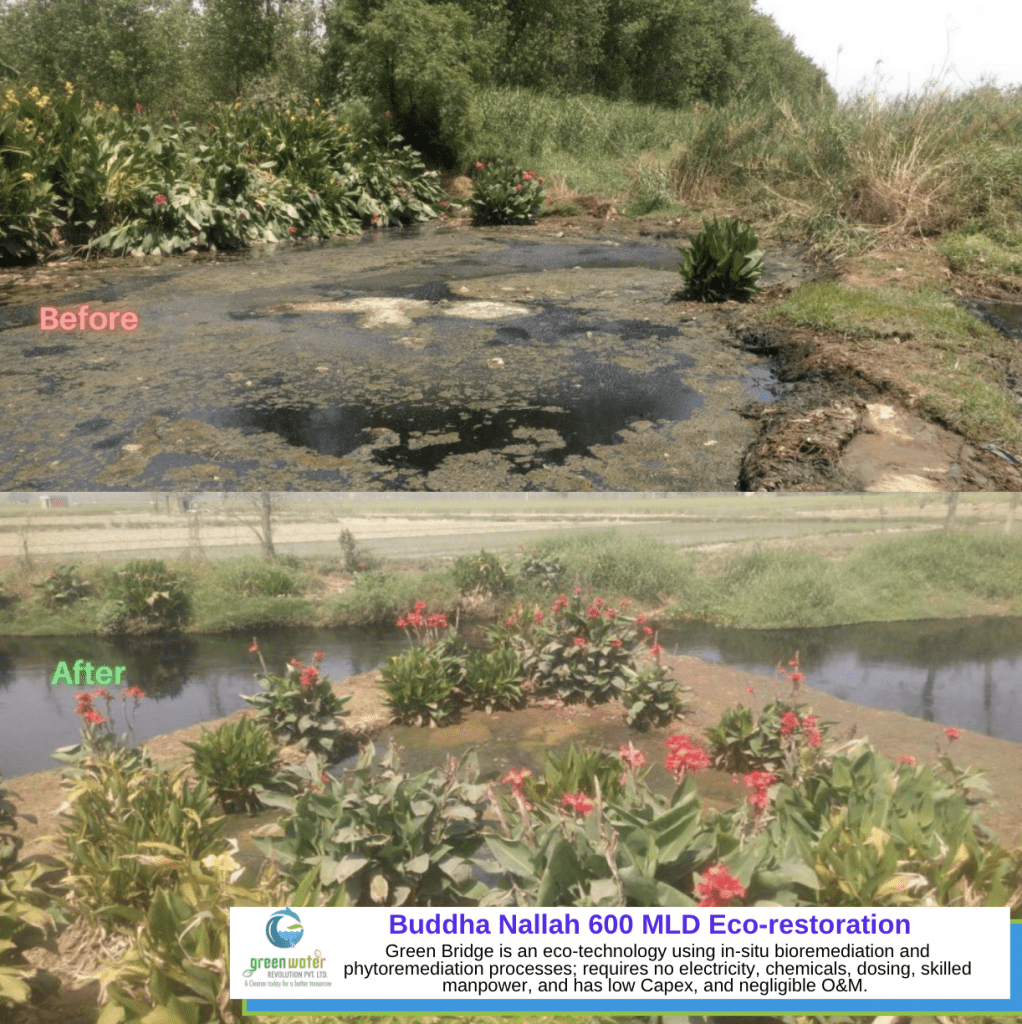 Green Bridge – Eco Technology Water Filtration System for Polluted ...