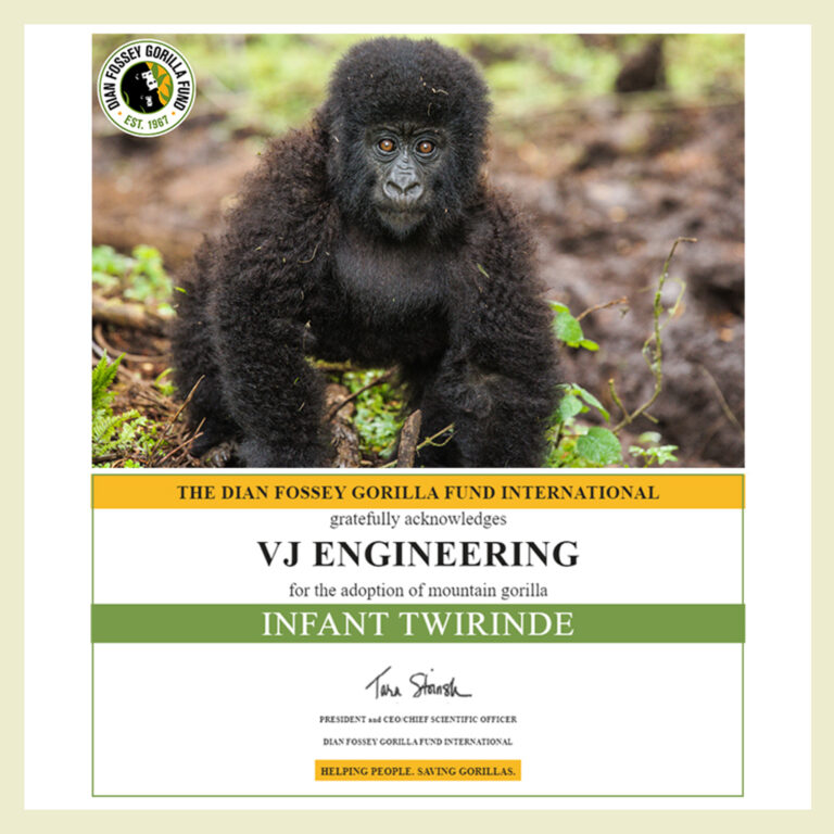 VJ’s Foster Children – VJ Engineering Solutions Sdn. Bhd.